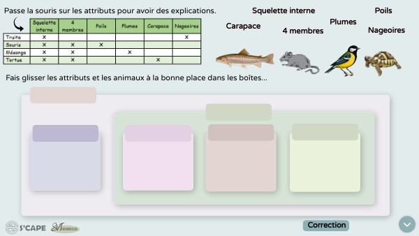 Exercices classification | Genially