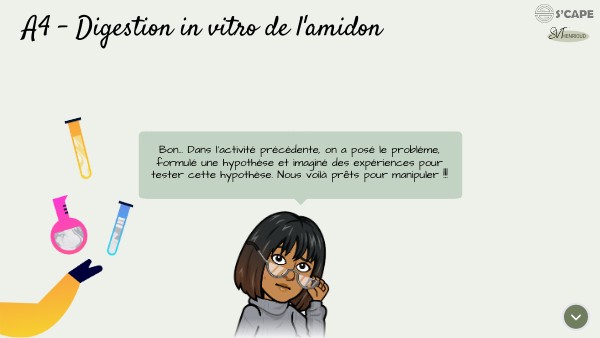 A4 - Digestion in vitro de l'amidon | Genially