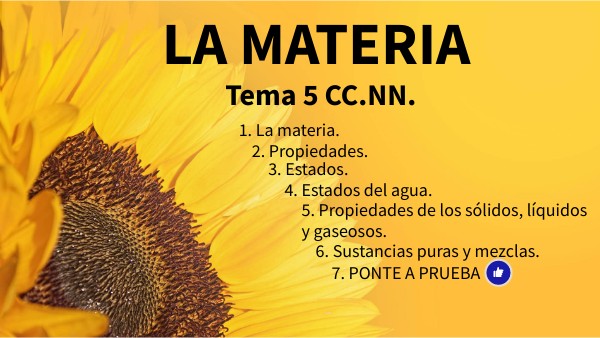 LA MATERIA