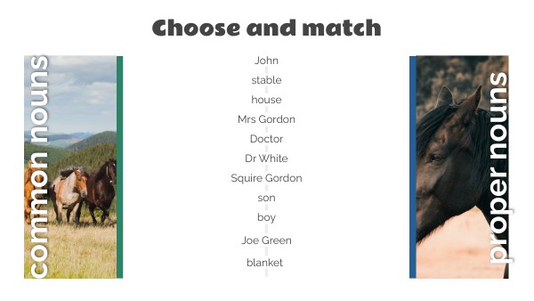 PROPER AND COMMON NOUNS | Genially