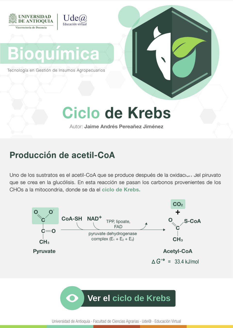 ciclo de kreps | Genially