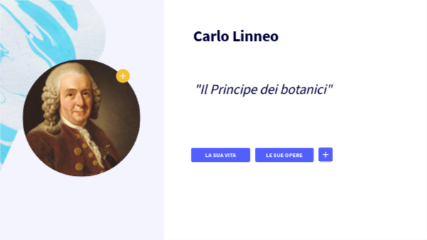 Linneo | Genially