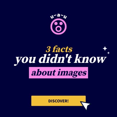 Fun Facts Card | Genially