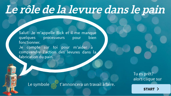 Comment les levures font gonfler le pain? | Genially