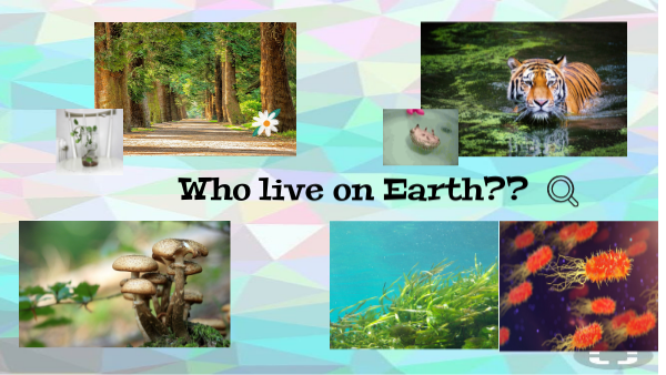 Unit 3: Living things