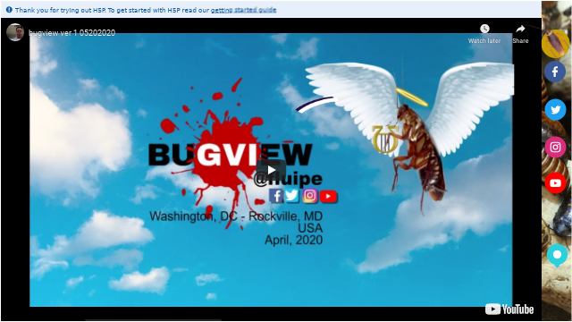 Bugview H5P + Genially