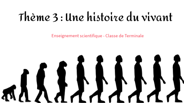 Evolution humaine - Tle | Genially