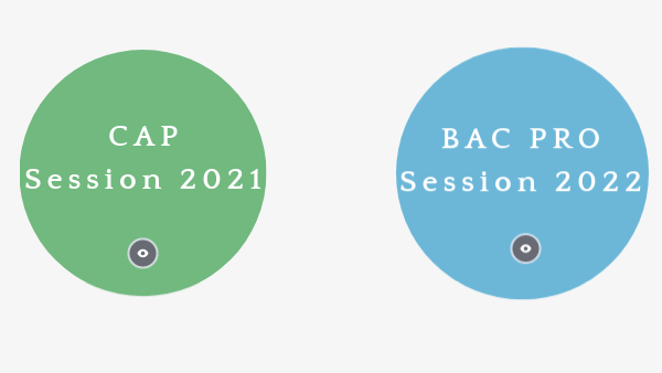 Modalités examen CAP / BAC PRO | Genially