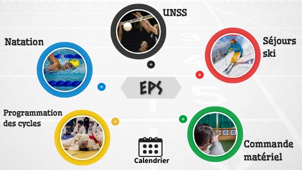 Organisation EPS | Genially