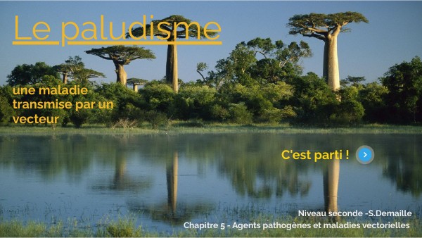 Le paludisme en seconde | Genially