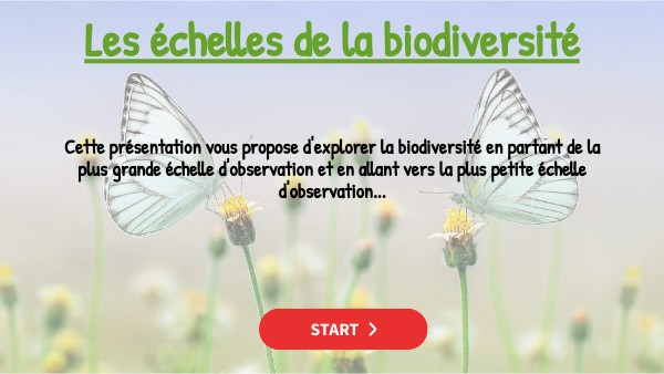A1 Echelles de la biodiversité | Genially