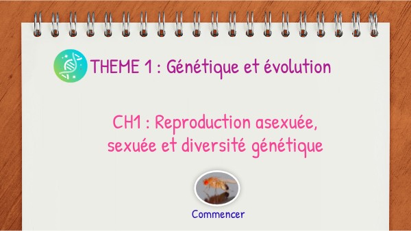 Term spé - TH1 - CH1 - cours à distance | Genially