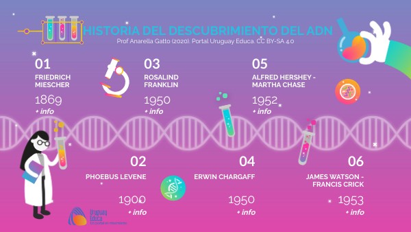 Historia del descubrimiento del ADN | Genially