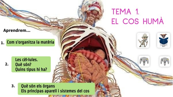El cos humà (3r/1rESO)