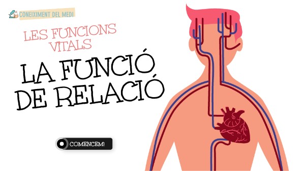 CM Funció de relació
