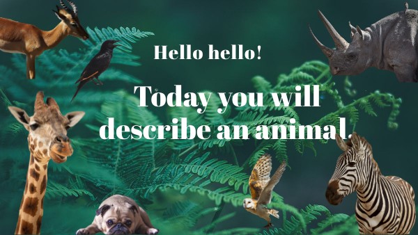 Let's describe an animal!