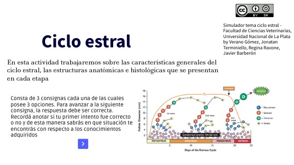 CicloEstralSimulación | Genially