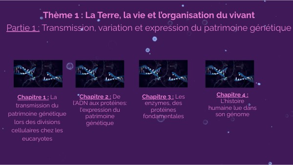 Transmission, variation et expression du patrimoine génétique