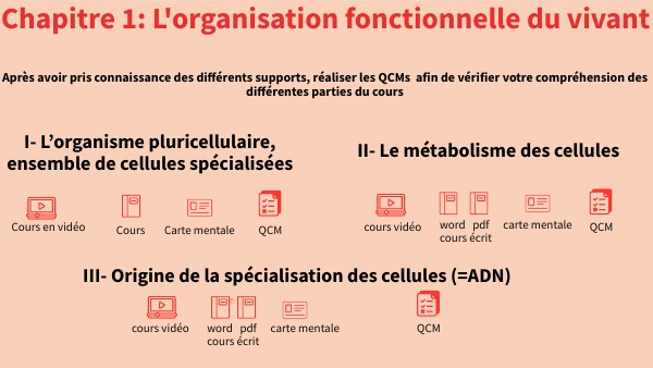 Mme Golema - organisation fonctionnelle du vivant | Genially