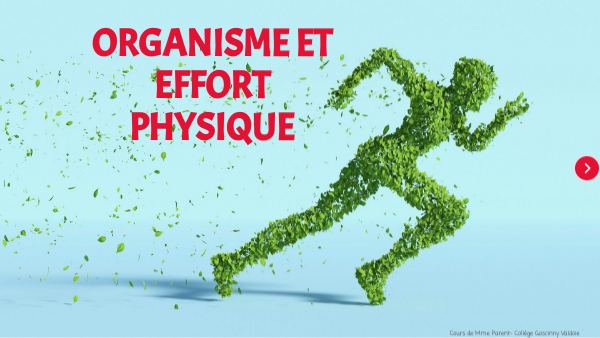 5° Organisme et effort physique | Genially