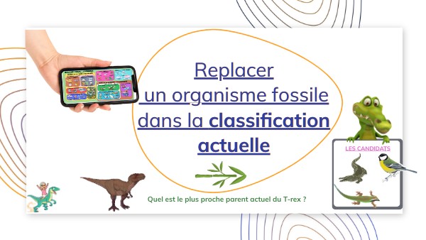 6° Classification T-rex | Genially