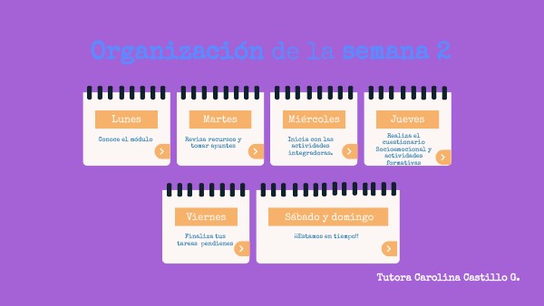Organización Semana 2