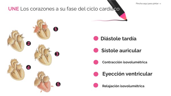 Ejercicios corazón | Genially