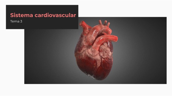 Cardiovascular | Genially