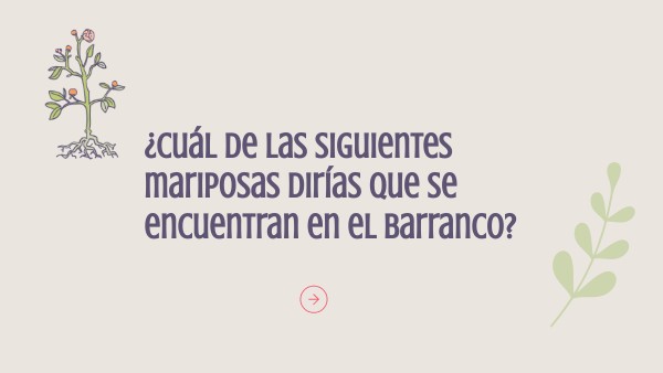 Fauna 5: Mariposas