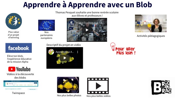 Copie - Apprendre à apprendre avec un blob | Genially