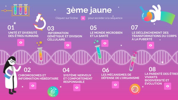 3ème Jaune programmation