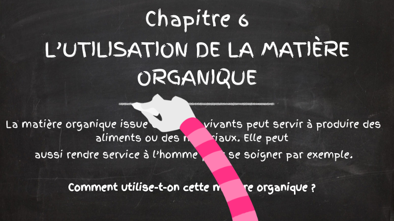 CH6 L'utilisation de la matière organique | Genially