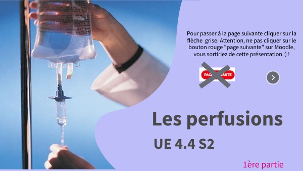 4.4 S2 Perfusions 1ère partie | Genially