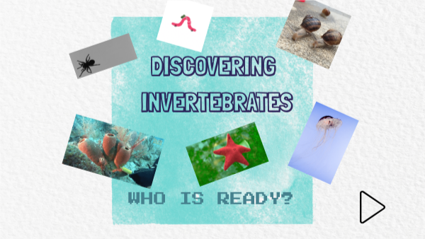 INVERTEBRATES | Genially