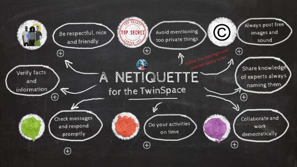 NETIQUETTE FOR THE TWINSPACE