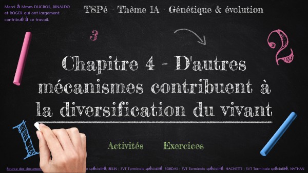 T - CH4 - Autres méca de diversification | Genially