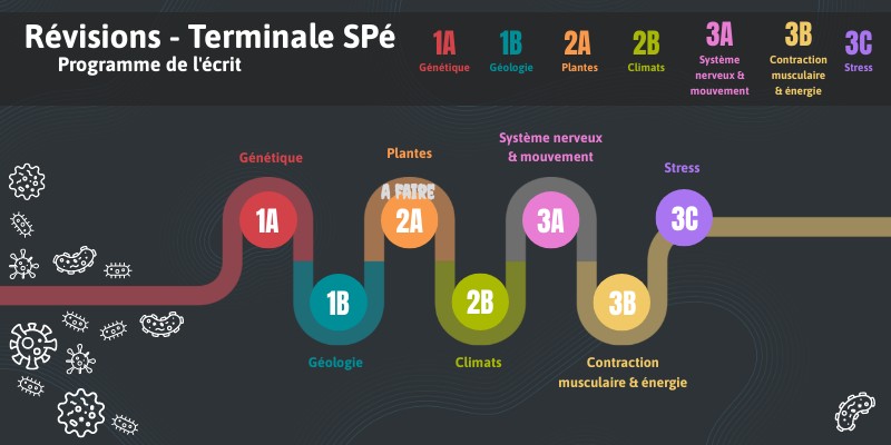Révisions - Terminale SPé