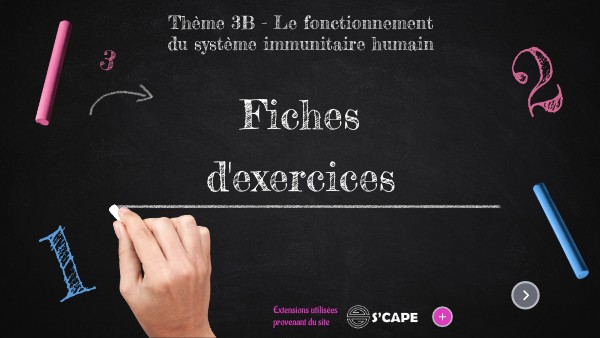 1 - Exercices thème 3B