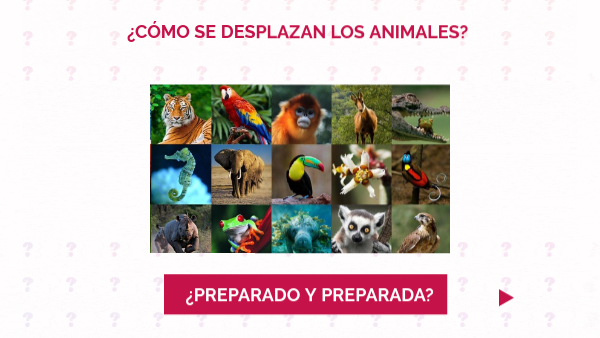 Desplazamiento de los animales | Genially