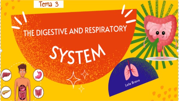 Tema 3. The digestive system