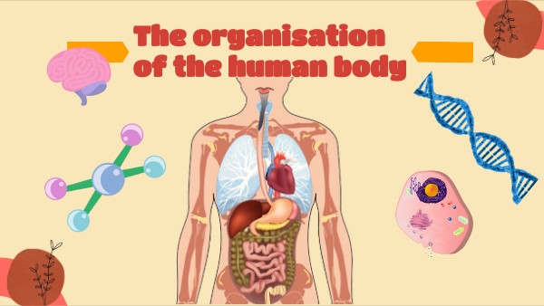 Unit. 1. the organisation of human body