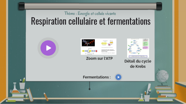 classe inversée respi fermentation | Genially