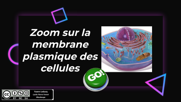 La membrane plasmique (enseignement scientifique) | Genially