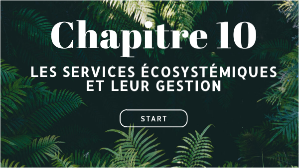Chapitre 10 services écosystémiques | Genially