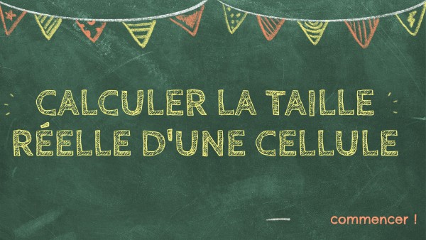calcul taille ovule et spermatozoïde | Genially