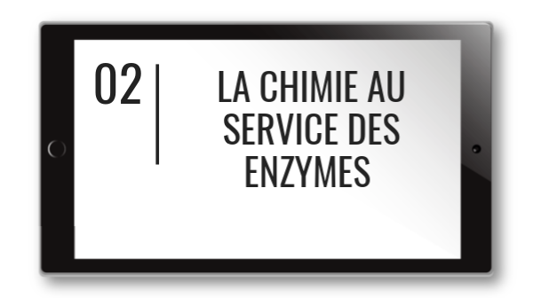 TD 1 ENZYMOLOGIE