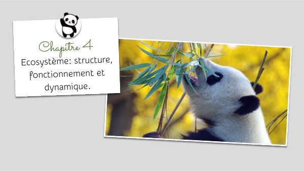 Ch 4 - Ecosystème | Genially