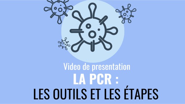 présentation PCR | Genially