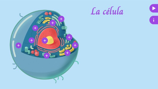 Póster interactivo célula