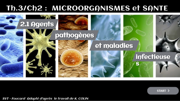 2-1 SIDA Paludisme et COVID | Genially